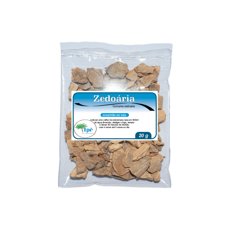 Zedoária (Curcuma zedoaria - Raíz) | Loja Ipê Ervas e Raízes Medicinais